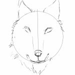 Wolf Head Drawing - Draw a Cunning Wolf Face Sketch