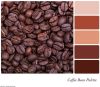 Como hacer color cafe - Aprende qué colores forman el marrón