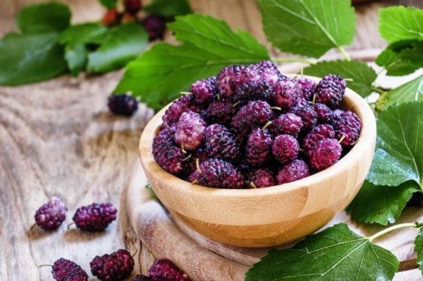 Como hacer el color magenta - ¡Cómo hacer pintura magenta tú mismo!