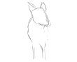 Fox Drawing - An Easy Drawing Tutorial for Beginners