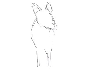 Fox Drawing - An Easy Drawing Tutorial for Beginners