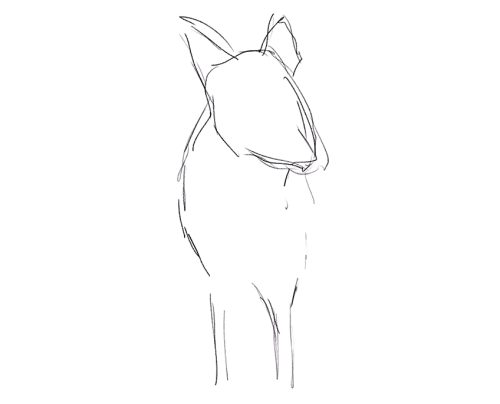 Fox Drawing - An Easy Drawing Tutorial for Beginners