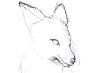 Fox Drawing - An Easy Drawing Tutorial for Beginners