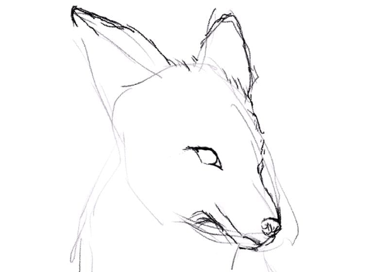 Fox Drawing - An Easy Drawing Tutorial for Beginners