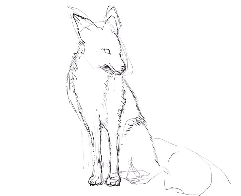 Fox Drawing - An Easy Drawing Tutorial for Beginners