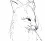Fox Drawing - An Easy Drawing Tutorial for Beginners