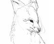 Fox Drawing - An Easy Drawing Tutorial for Beginners