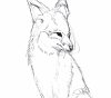 Fox Drawing - An Easy Drawing Tutorial for Beginners