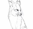 Fox Drawing - An Easy Drawing Tutorial for Beginners