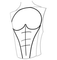 Abs Drawing - Create a Muscular Drawing of Abs