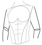 Abs Drawing - Create a Muscular Drawing of Abs