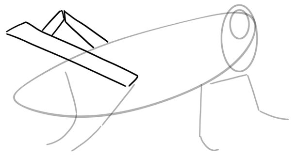 Grasshopper Drawing - Create an Intricate Grasshopper Sketch