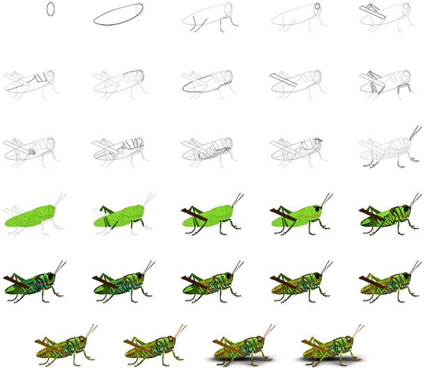 Grasshopper Drawing - Create an Intricate Grasshopper Sketch