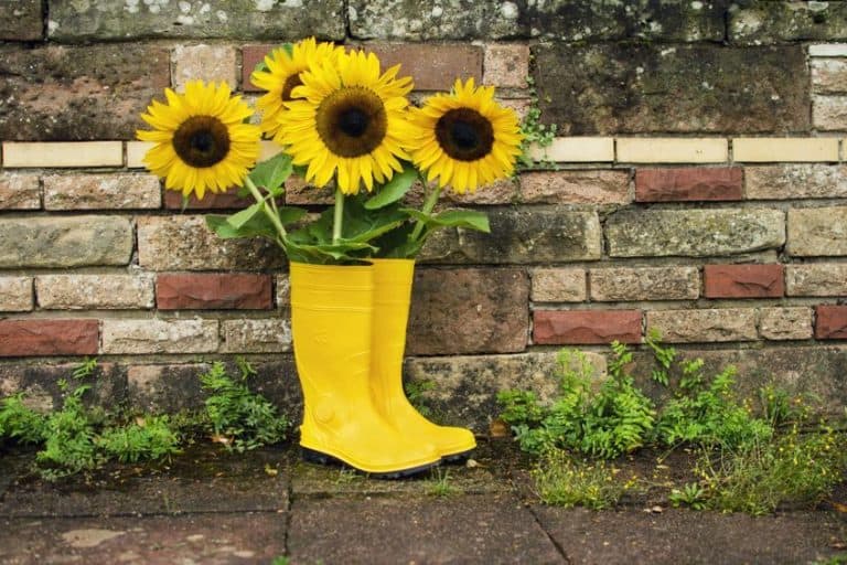 Couleurs de l'arc en ciel - Explorer les couleurs vives
