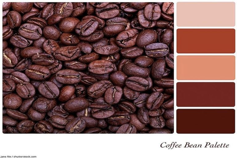 Tonos de cafe – Descubre la paleta de colores marrones