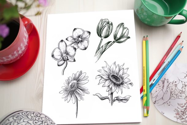 Comment dessiner une fleur - Apprends à dessiner des fleurs