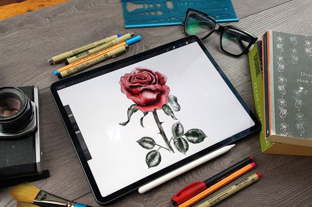 Cómo dibujar una rosa - Crea un dibujo realista de una rosa