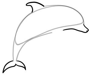 Dolphin Drawing - Create a Graceful Dolphin Sketch
