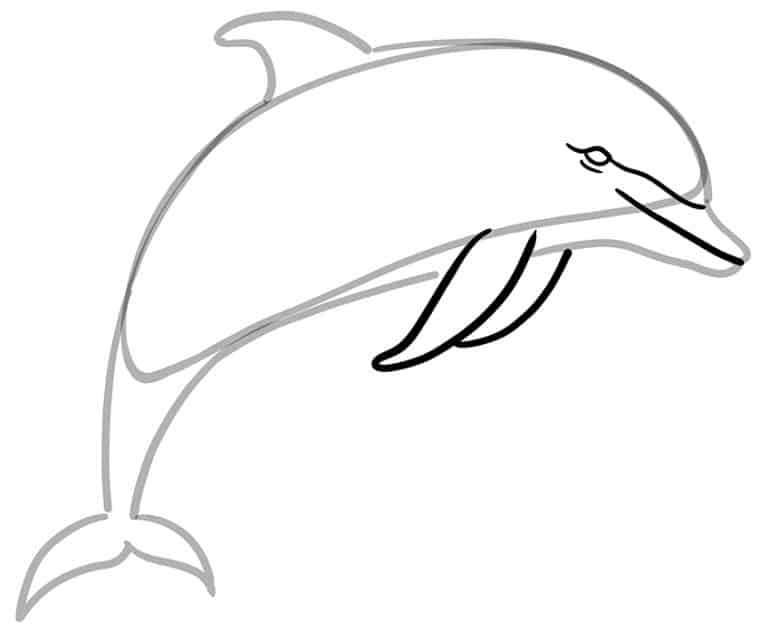 Dolphin Drawing - Create a Graceful Dolphin Sketch