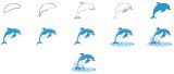 Dolphin Drawing - Create a Graceful Dolphin Sketch