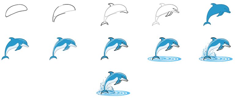 Dolphin Drawing - Create a Graceful Dolphin Sketch