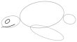 Sea Turtle Drawing - Draw a Magnificent Sea Turtle Sketch