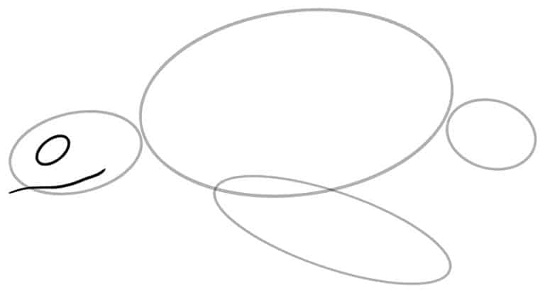 Sea Turtle Drawing - Draw a Magnificent Sea Turtle Sketch