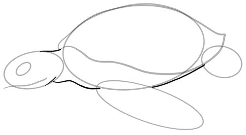 Sea Turtle Drawing - Draw a Magnificent Sea Turtle Sketch