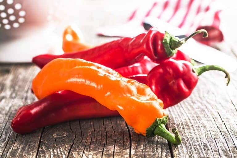 What Color Does Orange and Red Make? - Mixing Orange and Red