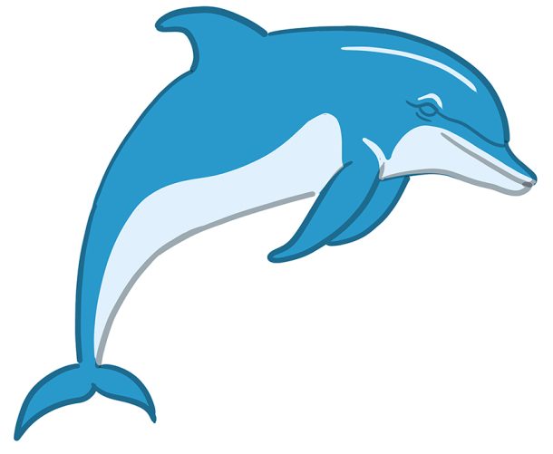 Delfin zeichnen - Erstelle eine anmutige Delfin-Zeichnung