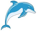 Delfin zeichnen - Erstelle eine anmutige Delfin-Zeichnung
