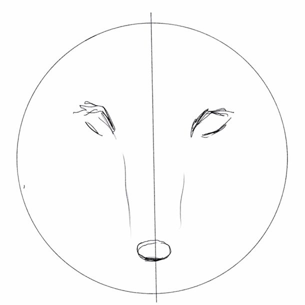 Wolf zeichnen - Schritt-für-Schritt einen Wolf malen lernen