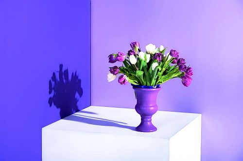 What Colors Go With Purple? - Colors That Complement Purple