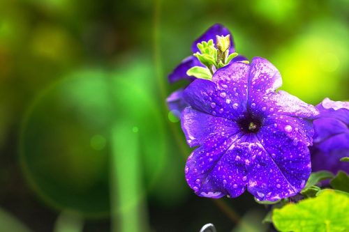 Indigo Farbe - Entdecke die Farbnuancen von Blau und Lila