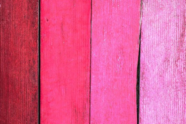 Fuchsia Color - Learn About the Hues of the Fuchsia Color