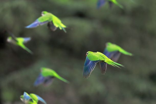 Ecru Color - Learn the Neutral Tones of the Ecru Color Palette