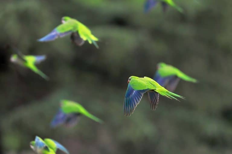 Ecru Color - Learn the Neutral Tones of the Ecru Color Palette