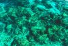Emerald Green - Learn to Use Popular Shades of Emerald Green