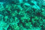 Emerald Green - Learn to Use Popular Shades of Emerald Green