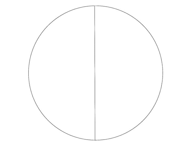 Cat Drawing - An Easy and Realistic Guide for Beginners