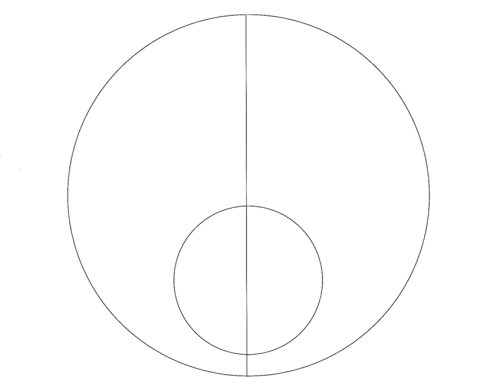 Cat Drawing - An Easy and Realistic Guide for Beginners