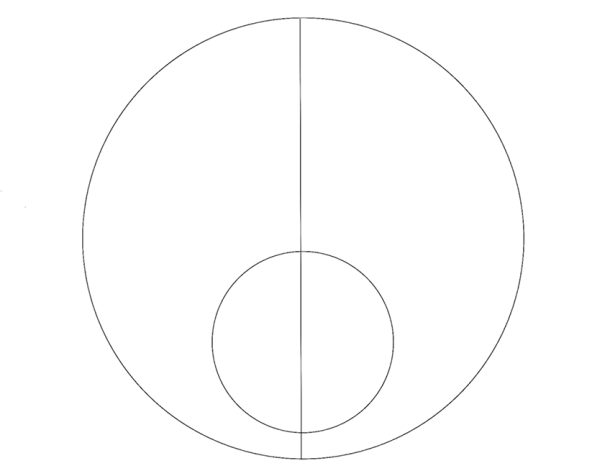 Cat Drawing - An Easy and Realistic Guide for Beginners