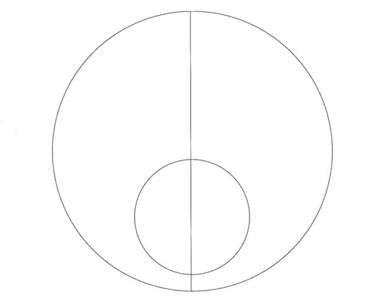 Cat Drawing - An Easy and Realistic Guide for Beginners