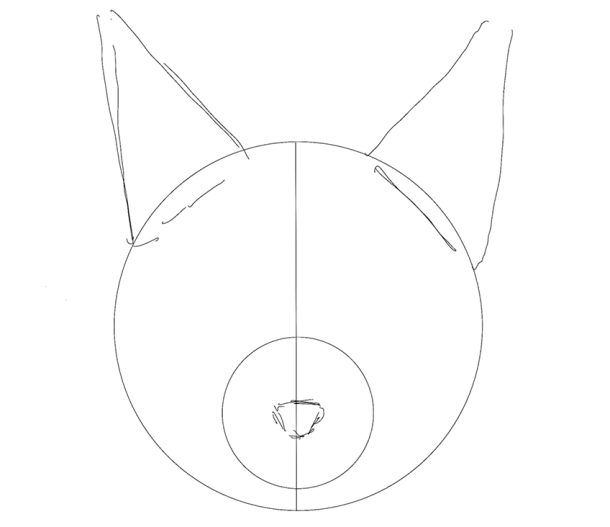 Cat Drawing - An Easy and Realistic Guide for Beginners