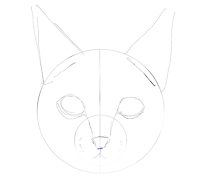 Cat Drawing - An Easy and Realistic Guide for Beginners