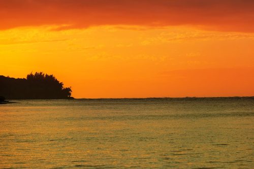 Salmon Color - Discovering the Salmon Color Palette