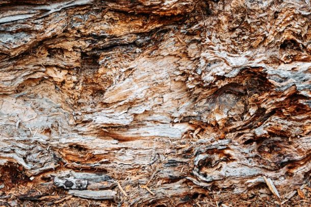 Pattern in Art - Discover the Four Main Types of Design Motifs