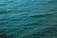 Petrol Blue - Explore the Versatile and Calming Shades of Blue