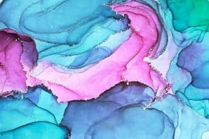 Rose Color - Learn All About the Rose Color and Its Hues