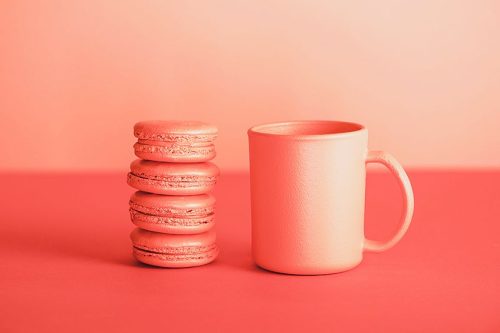 Salmon Color - Discovering the Salmon Color Palette
